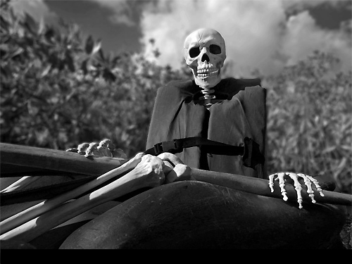 The Unsolved Mysteries of the Everglades | Capital Analytics Associates